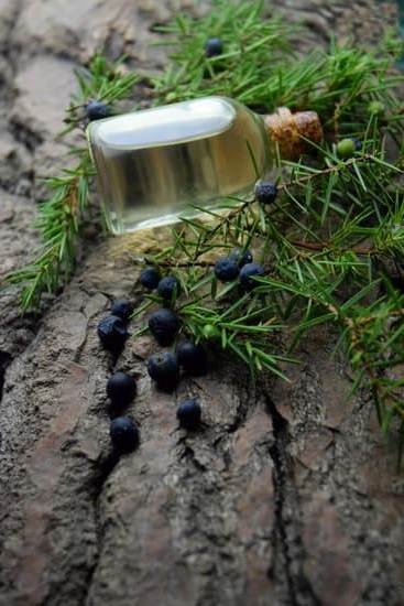 Aromatherapy Shotgun | Deep Aromatherapy