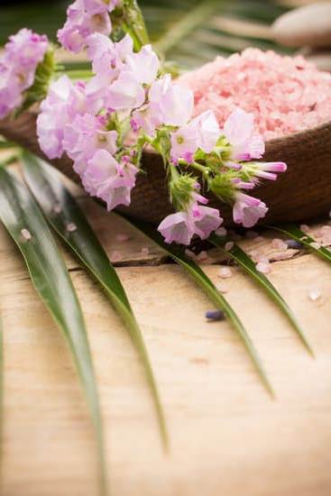 Can Pennyroyal Be Used For Aromatherapy Deep Aromatherapy