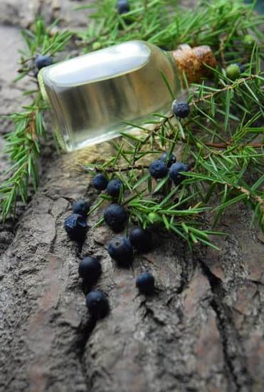 Storz And Bickel Volcano Hybrid Desktop Aromatherapy Diffuser | Deep ...